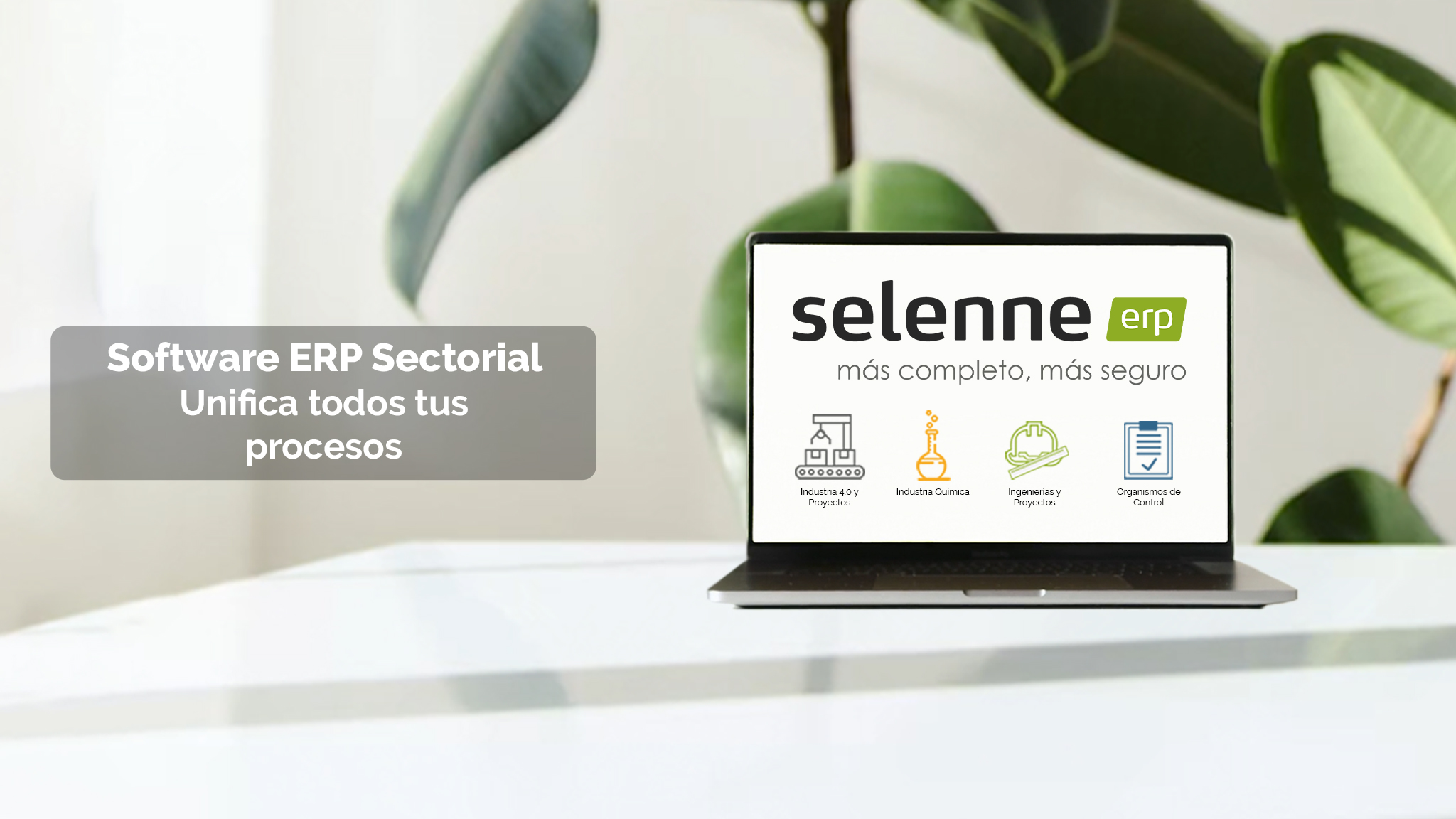 Producto innovador de Castilla-La Mancha: Selenne ERP